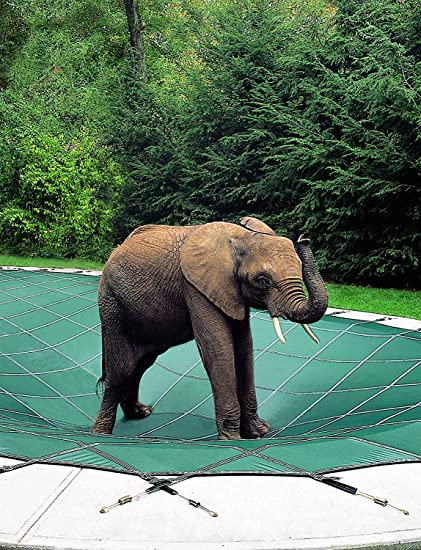 Pool Safety Covers - The Swimming Pool Store